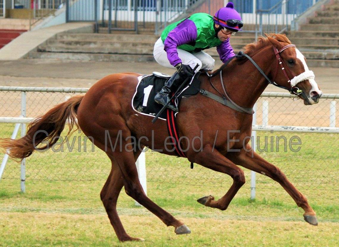 STEPPING OUT IN STYLE | Racing at Borrowdale Park in Harare – Zimbabwe