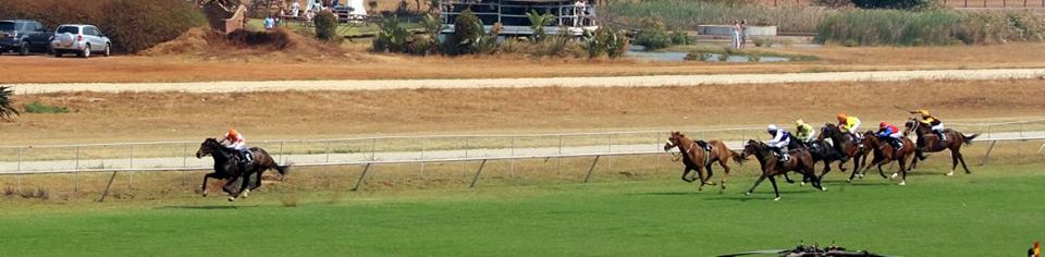 COMANCHE BRAVE GOES FOR A HAT-TRICK | Racing at Borrowdale Park in ...