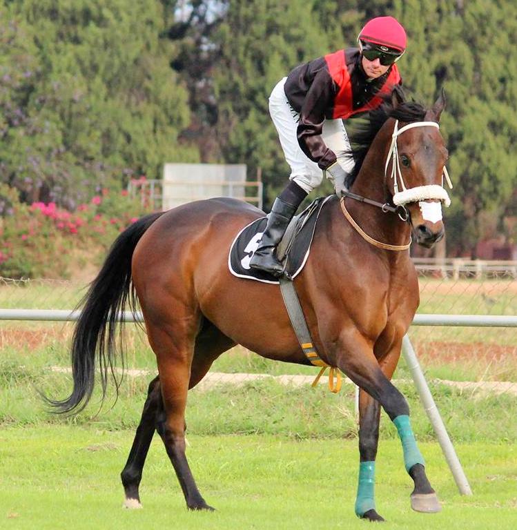 Even More Of A Mind Game | Racing at Borrowdale Park in Harare – Zimbabwe