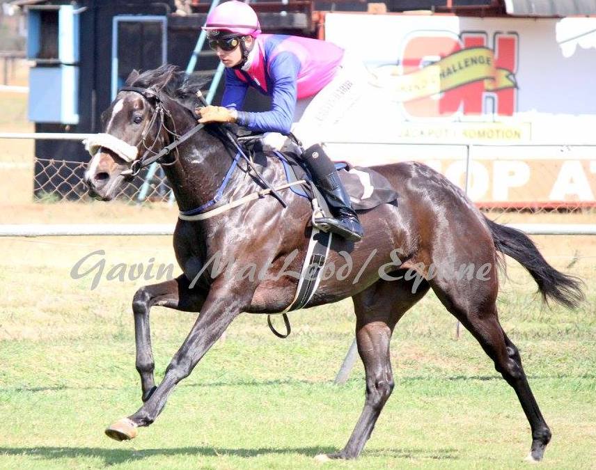 CRYSTALLINE OR WYLDE STYLE? | Racing at Borrowdale Park in Harare ...