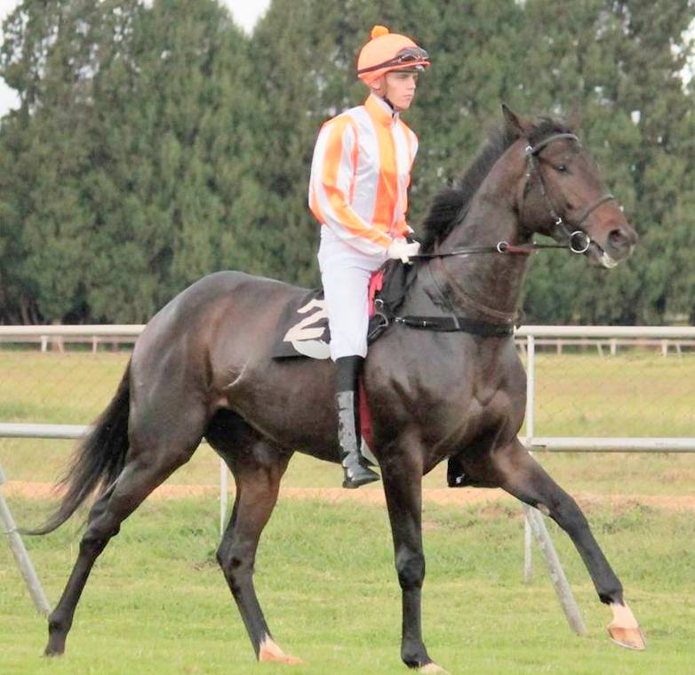 ZIMBABWE’S RACING AWARDS FOR THE 2016/17 SEASON | Racing at Borrowdale ...