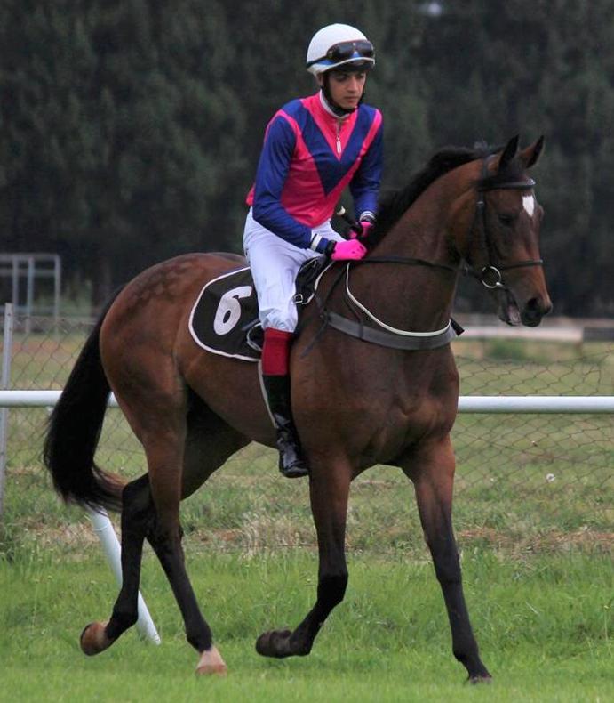 STIDOLPH HIT MOST OF THE HIGH NOTES | Racing at Borrowdale Park in ...