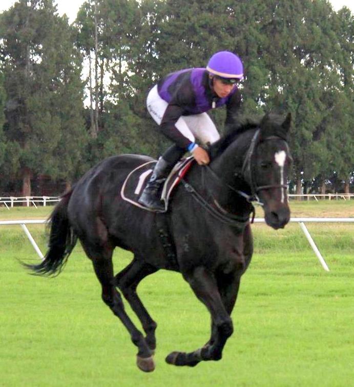 IT’S THE 2020 IPI TOMBE STAKES ON SUNDAY – CAN PEGGSON REPEAT IN THIS ...