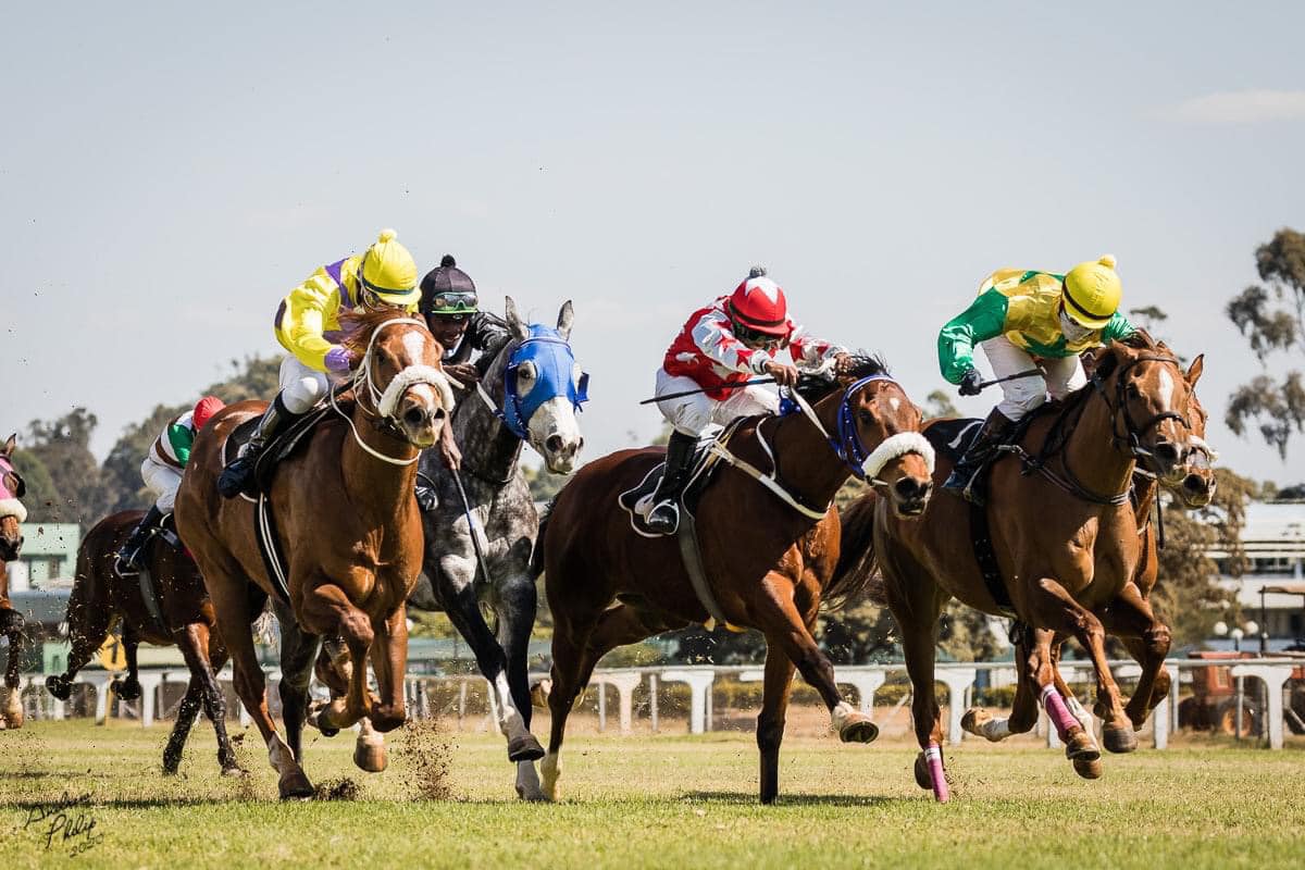 Blog | Racing at Borrowdale Park in Harare – Zimbabwe