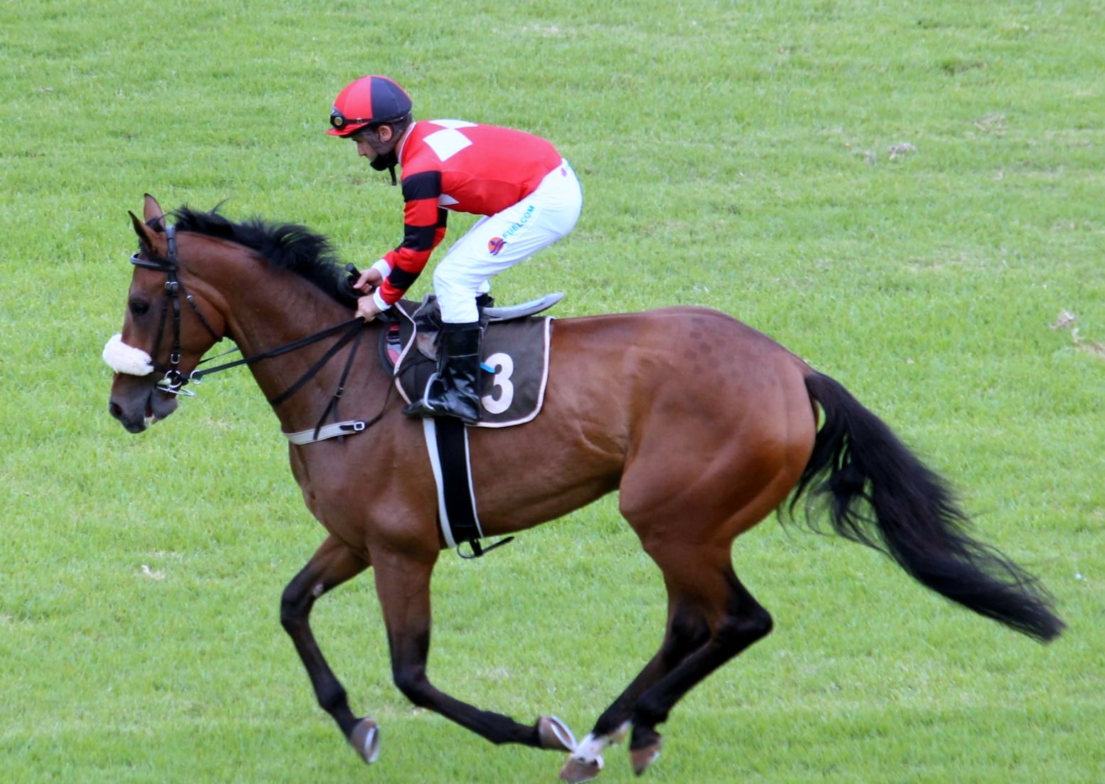 Competitive Oaks Field | Racing at Borrowdale Park in Harare – Zimbabwe