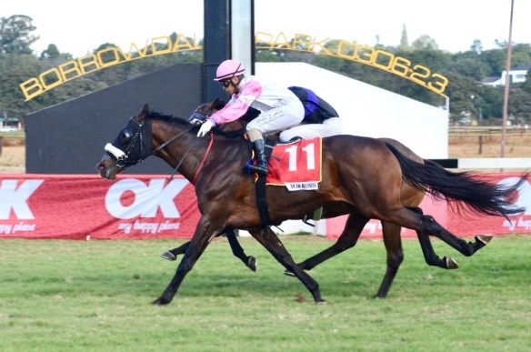 2024 OK GRAND CHALLENGE | Racing at Borrowdale Park in Harare – Zimbabwe