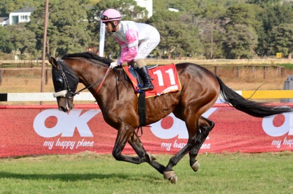 2024 OK GRAND CHALLENGE | Racing at Borrowdale Park in Harare – Zimbabwe